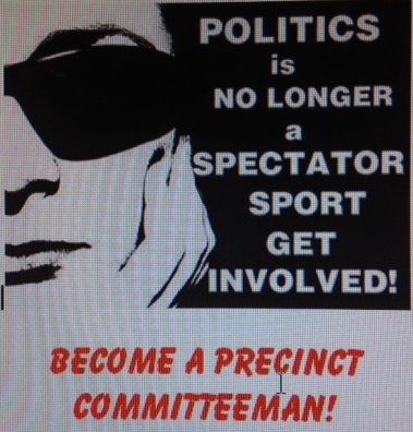Precinct Committeemen Project – Fox Valley Libertarians